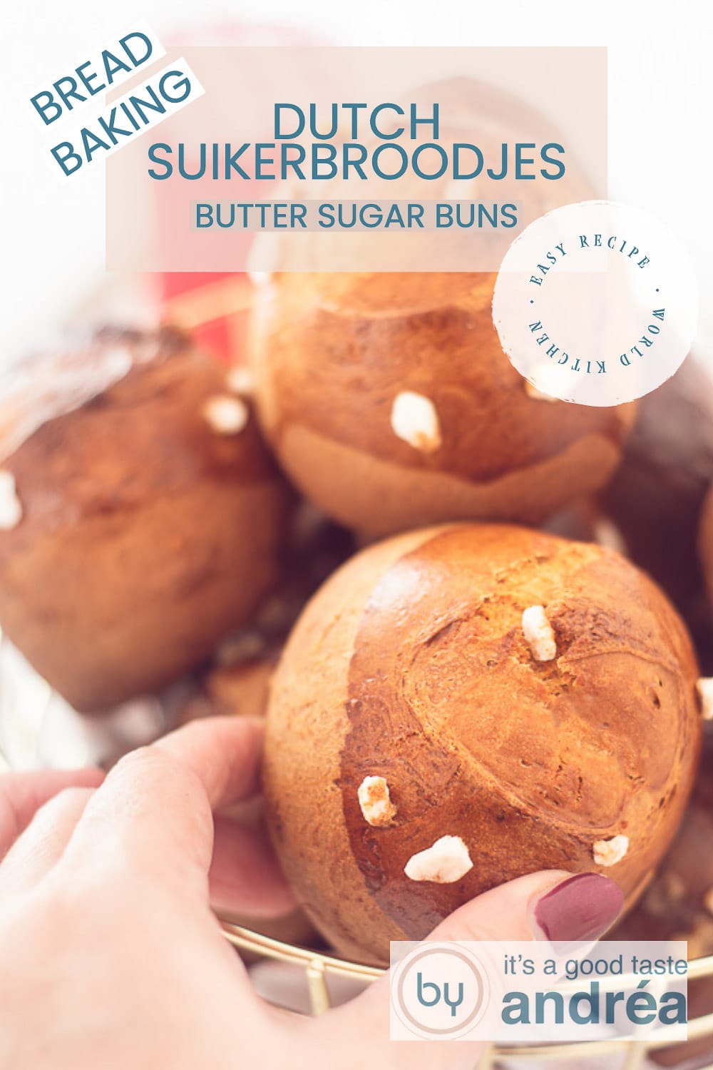 Dutch Suikerbroodjes (Sugar Buns) - By Andrea Janssen
