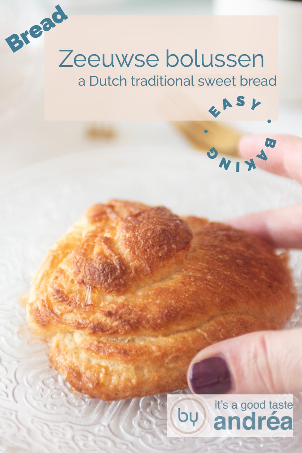 Zeeuwse Bolussen - Dutch Cinnamon Rolls - By Andrea Janssen