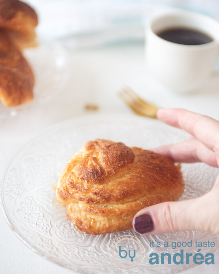 Zeeuwse Bolussen - Dutch Cinnamon Rolls - By Andrea Janssen