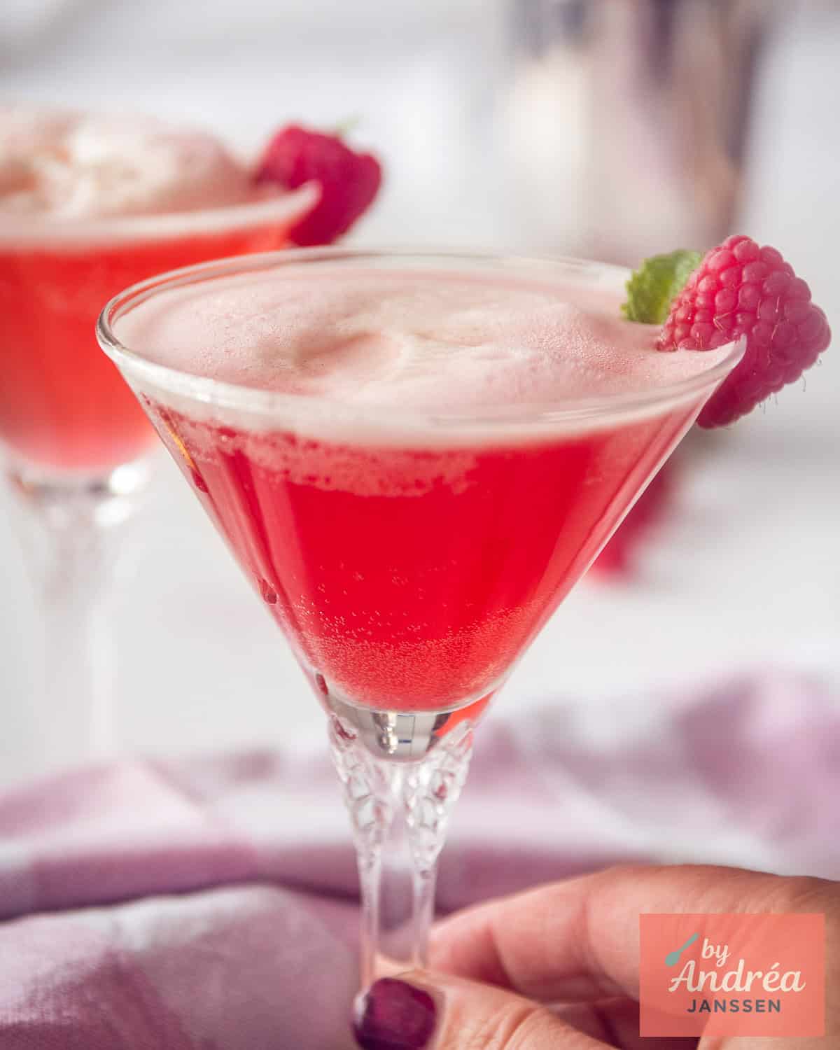 Raspberry Gin Prosecco Cocktail - By Andrea Janssen