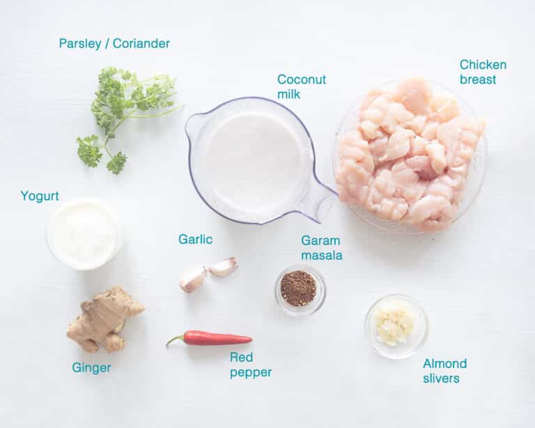 Chicken Korma with Coconut Milk and Yogurt - By Andrea Janssen