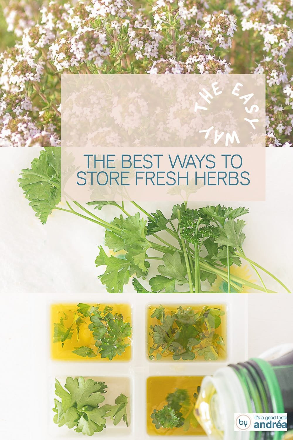 The Best Ways to Store Fresh Herbs - By Andrea Janssen