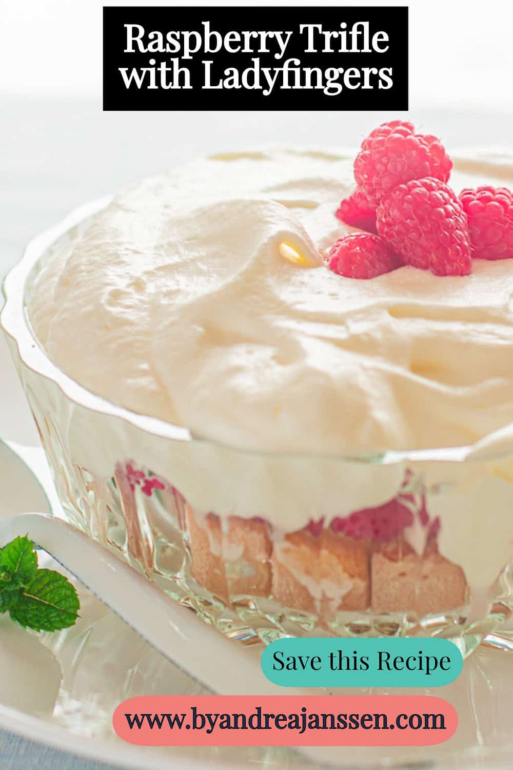 Raspberry Trifle with Ladyfingers - By Andrea Janssen