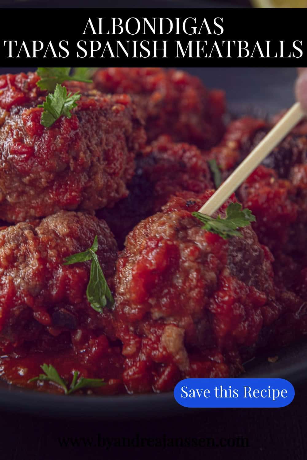 Albondigas - Tapas Spanish Meatballs - By Andrea Janssen