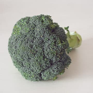 Broccoli Frittata with Mozzarella - By Andrea Janssen