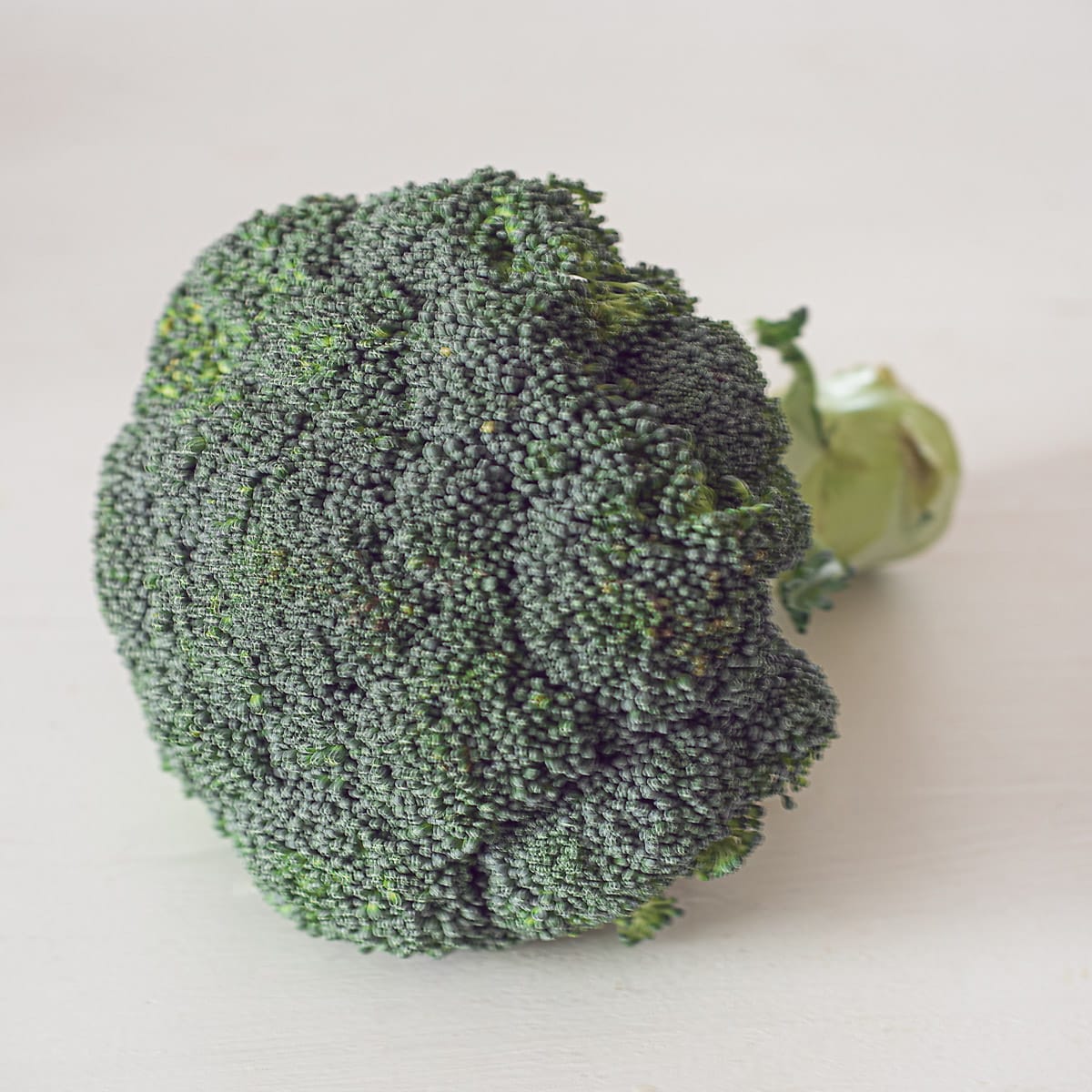 Teriyaki Beef and Broccoli with Rice - By Andrea Janssen