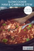 Slow Cooker Ham and Cabbage Stew - By Andrea Janssen