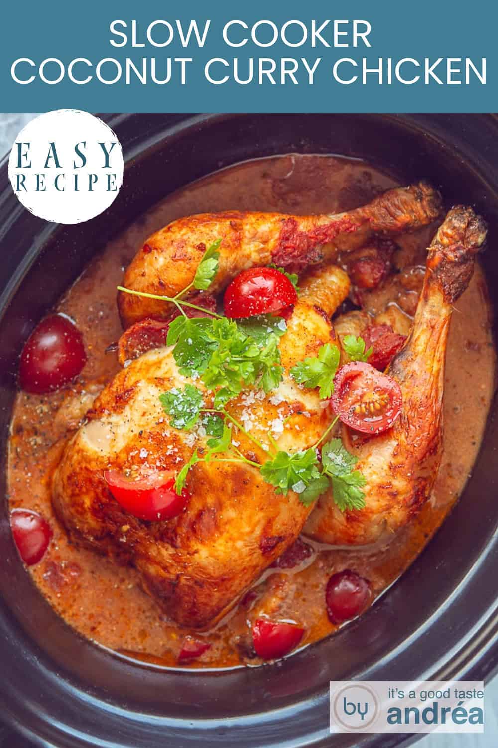 Easy Slow Cooker Coconut Curry Chicken Recipe - By Andrea Janssen